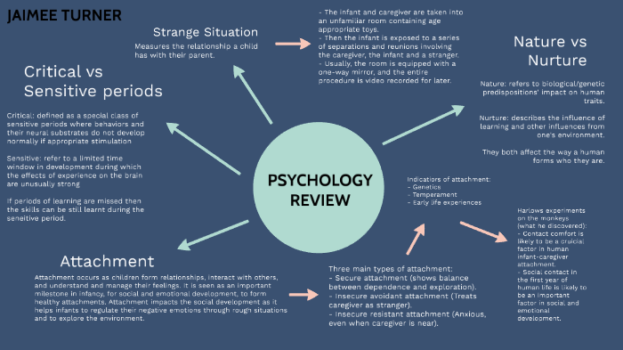 Psychology diagram by Jaimee Turner on Prezi