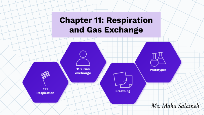 Chapter 11: Respiration and Gas Exchange by Maha Salameh on Prezi