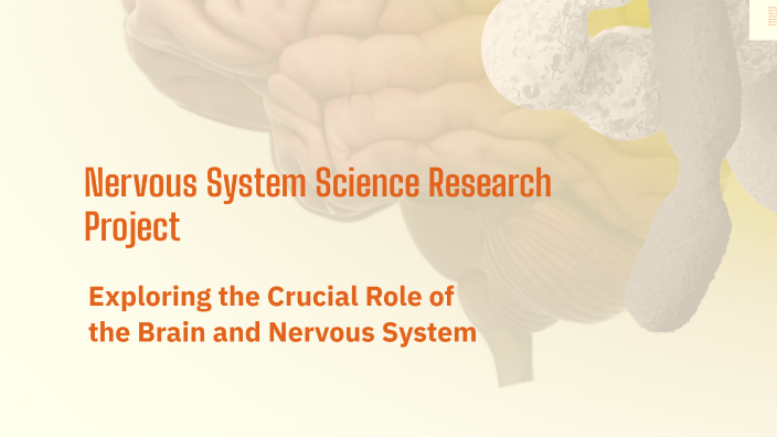 Nervous System Science Research Project by Sanjay Hamilton on Prezi