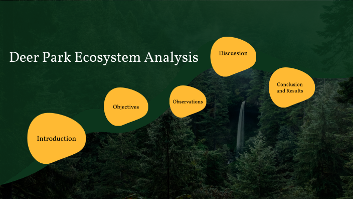 Deer Park Ecosystem Analysis by smartdragon2 on Prezi