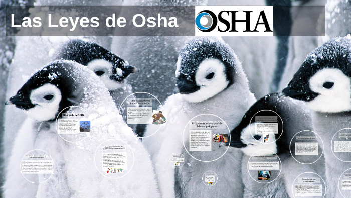 Las Leyes de OSHA by Luis Acevedo on Prezi
