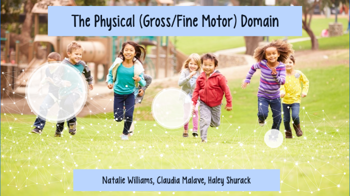 Physical Development Domain by Haley Shurack on Prezi