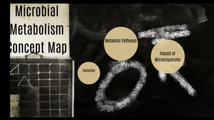 MIcrobial Concept Map by Rohan Nakka on Prezi