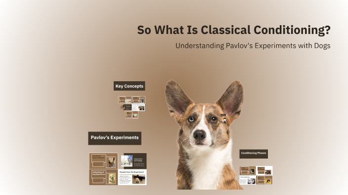 So What Is Classical Conditioning? by CTB T.V. on Prezi