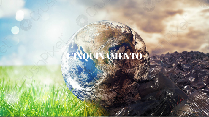 L'INQUINAMENTO by Alice Zocchi on Prezi