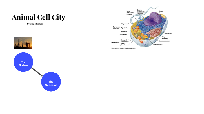 Animal Cell City by Lynn McClain on Prezi