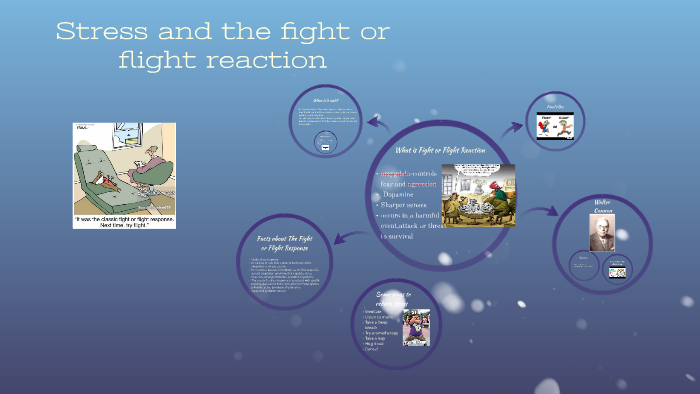 Stress and the fight or flight reaction by Alma Espino on Prezi