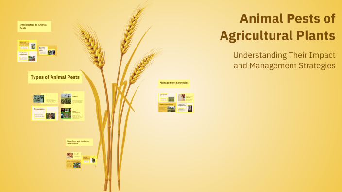 Animal Pests of Agricultural Plants by Martina Jílková on Prezi
