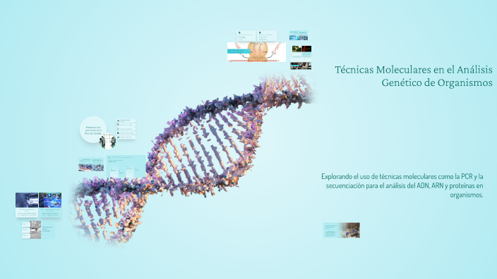 Técnicas Moleculares en el Análisis Genético de Organismos by Mila ...