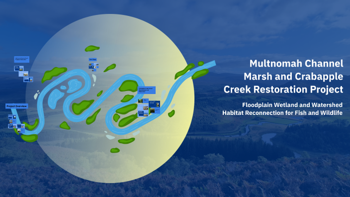 Multnomah Channel Marsh and Crabapple Creek Restoration Project by ...