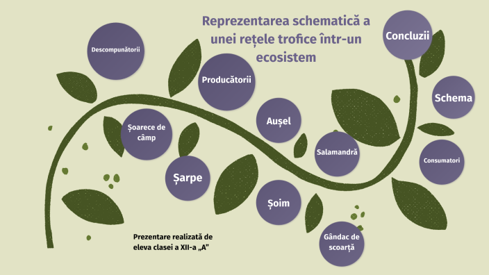 Reprezentarea schematica a unei retele trofice intr-un ecosistem by ...