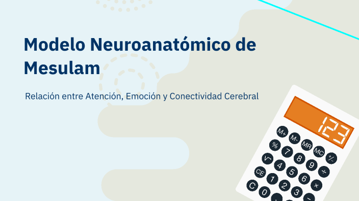 Modelo Neuroanatómico de Mesulam by Angie Romero on Prezi
