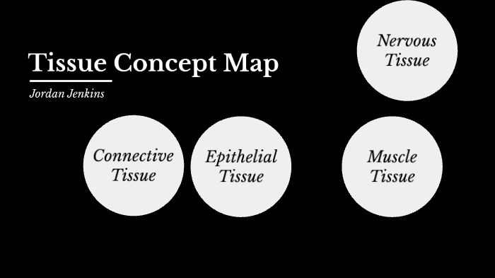 Tissue Concept Map by Jordan Jenkins on Prezi