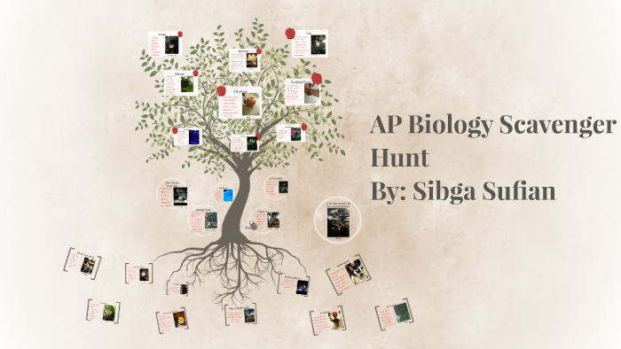 AP Biology Scavenger Hunt by Sibga Sufian on Prezi