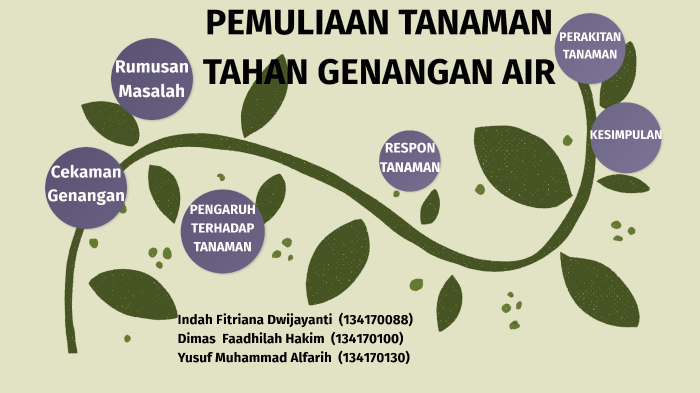 CEKAMAN GENANGAN by ucub 9 on Prezi