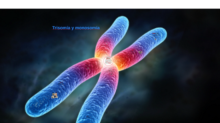 ¿Qué es una trisomia y una monosomia? by Natalia Novillo Garcia on Prezi