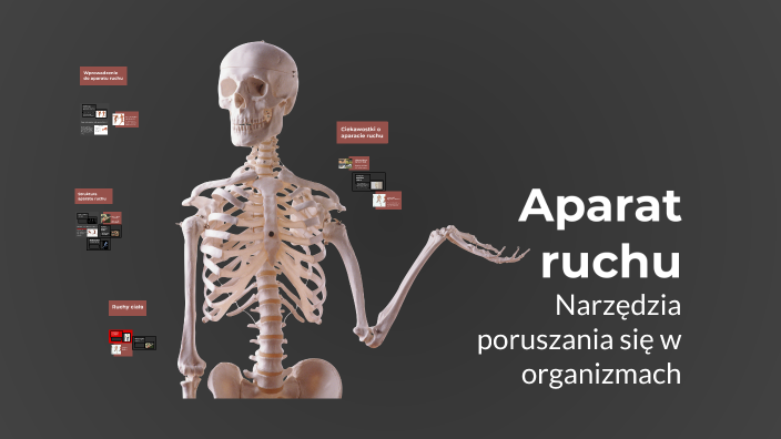Aparat ruchu by Natalia Lewandowska on Prezi