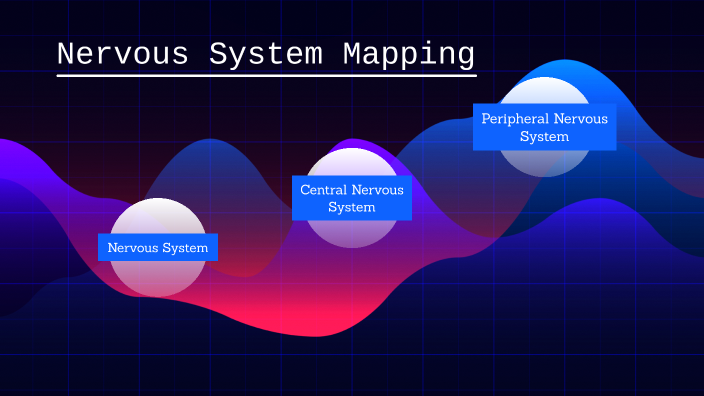 Nervous System Mapping by SIENNA MARANA on Prezi