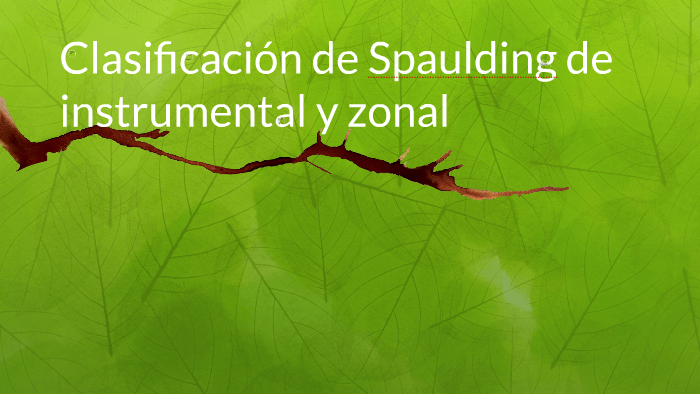 Clasificación de Spaulding de instrumental y zonal by juan reinel ...