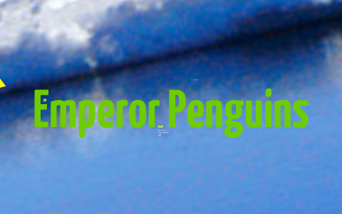 Emperor Penguins by Daniel Durocher on Prezi