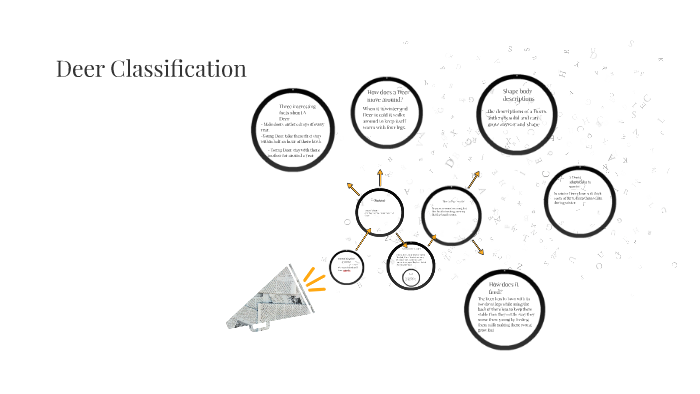 Deer Classification by Makhai P