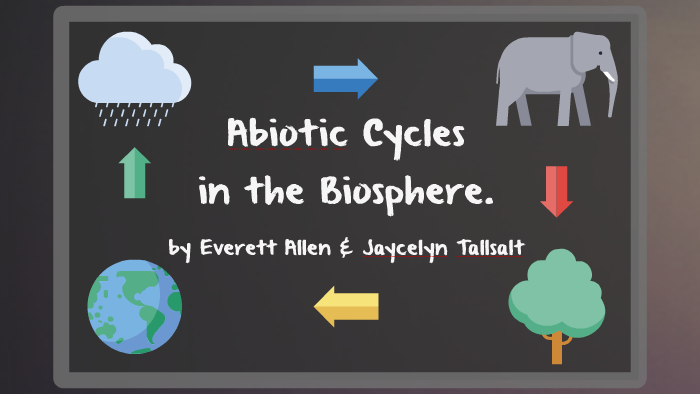 Abiotic Cycles in the Biosphere by jaycelyn tallsalt on Prezi
