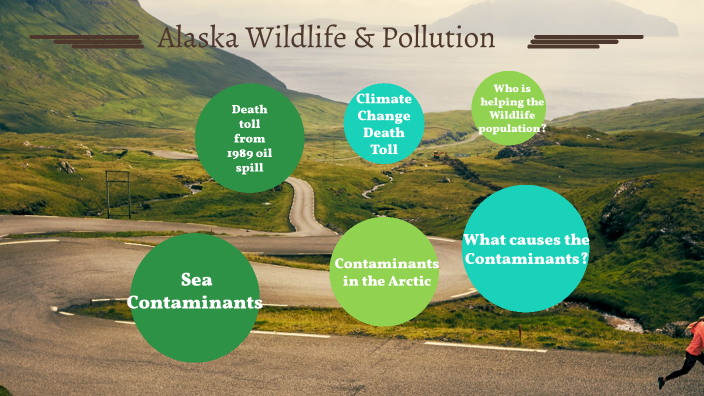 Prezi Poster by Victoria Vargas on Prezi