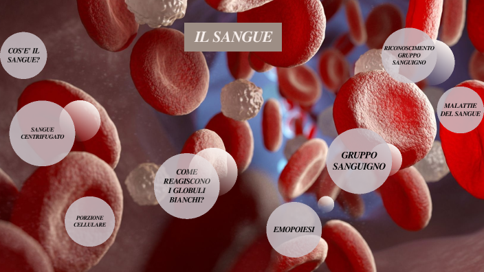 sangue by gabriele antonucci on Prezi