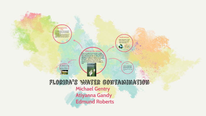 Florida's water contamination by Dani Mackenzie on Prezi