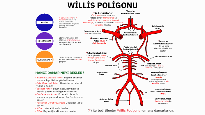Willis Poligonu by Hakkı Demir on Prezi