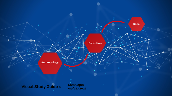 Visual Study Guide 1 by Sam Capel on Prezi