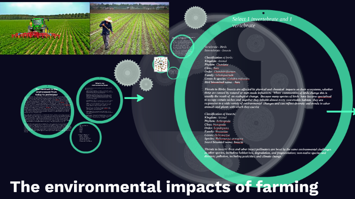 The environmental impacts of farming by Joshua T on Prezi