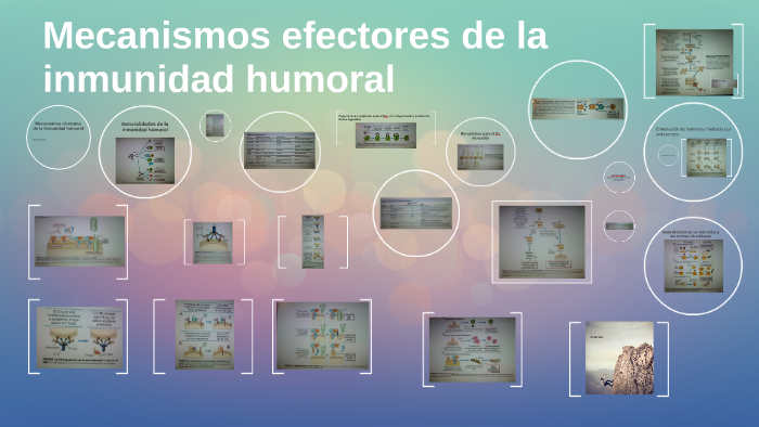 Mecanismos efectores de la inmunidad humoral by Annetti Burgos on Prezi
