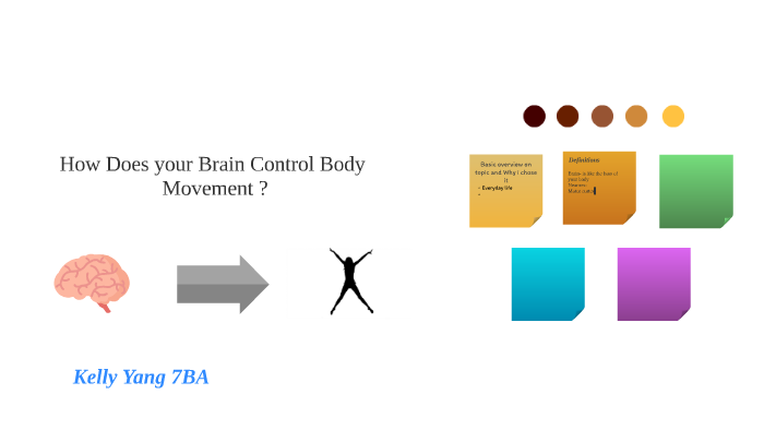 How does your brain control body movement ? by kelly yang on Prezi