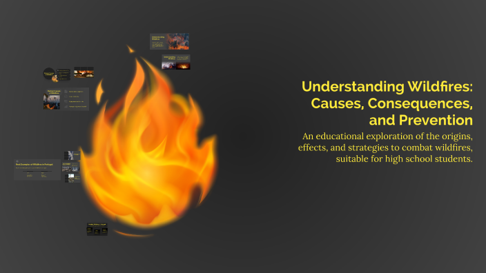 Understanding Wildfires: Causes, Consequences, and Prevention by Joana ...