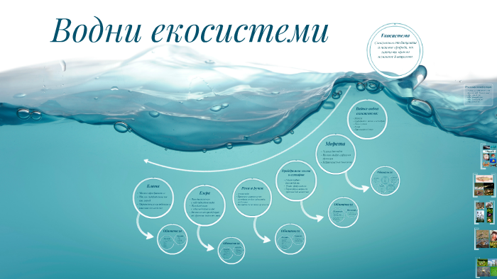 Водни екосистеми by lora Popova on Prezi