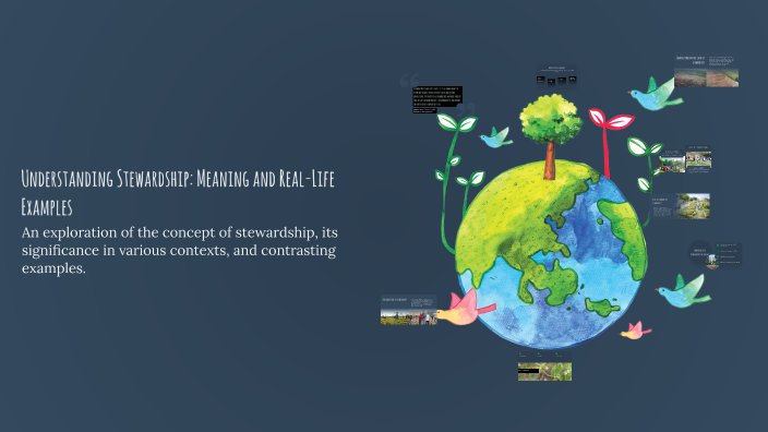 Understanding Stewardship: Meaning and Real-Life Examples by Princess ...