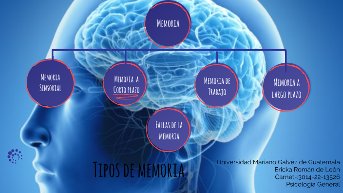 Tipos de memoria by Ericka Román on Prezi