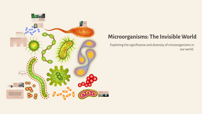 Microorganisms: The Invisible World by Kouzil on Prezi