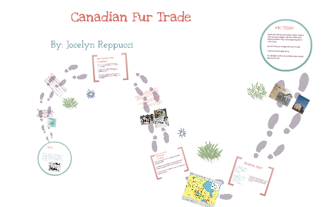 Canadian Fur Trade by Jocelyn Reppucci on Prezi