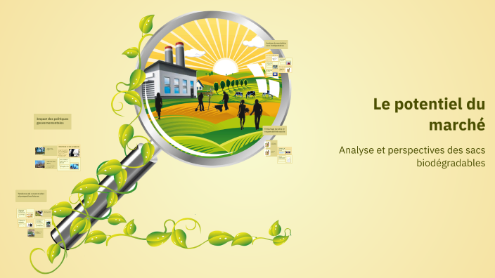 Le potentiel du marché by Véronique Gauthier on Prezi