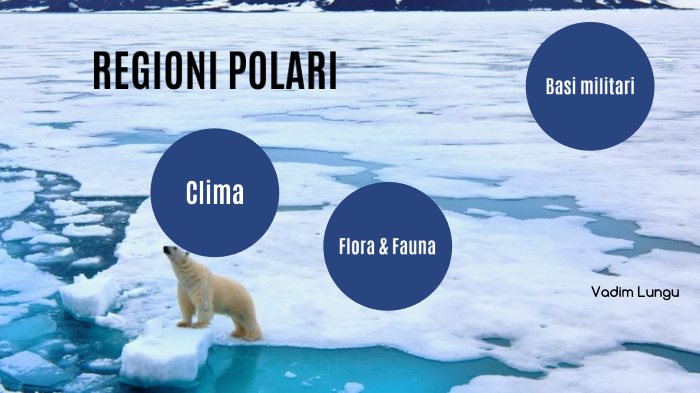 regioni polari by valeria lungu on Prezi