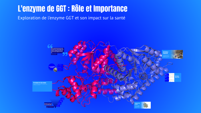 L'enzyme de GGT : Rôle et Importance by Zaki Talhi on Prezi