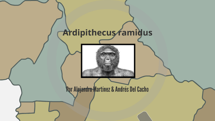 Ardipithecus ramidus by Andrés Del Cacho on Prezi