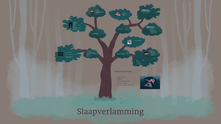 Slaapverlamming by Elena Lundemba on Prezi