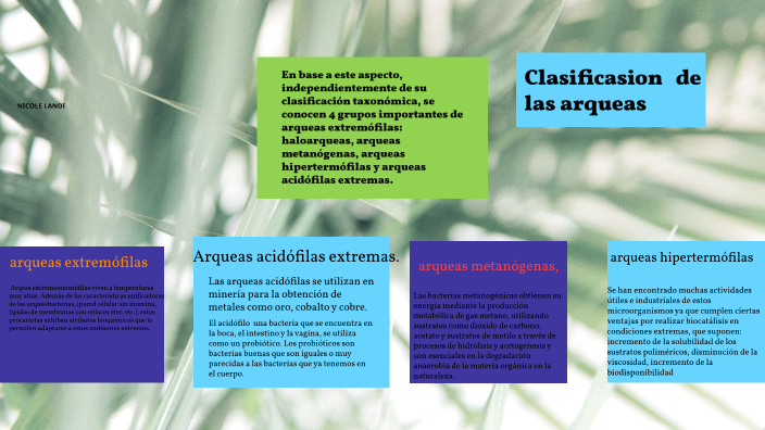 la clasificación de las arqueas. by uehfhf drr5trtt on Prezi