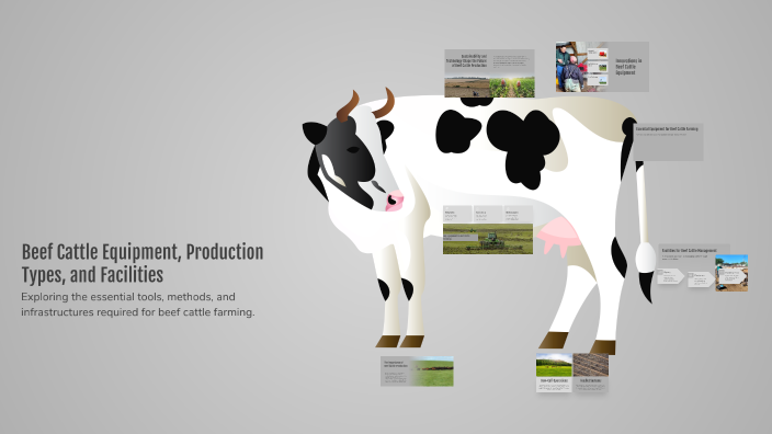 Beef Cattle Equipment, Production Types, and Facilities by JaCee Hogue ...