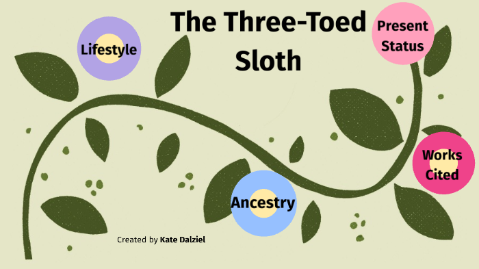 The Three-Toed Sloth by Kate Dalziel on Prezi