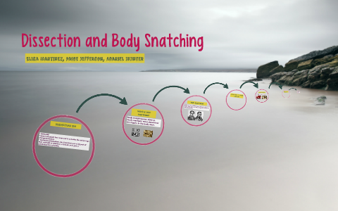 Dissection and Body Snatching by paige jefferson