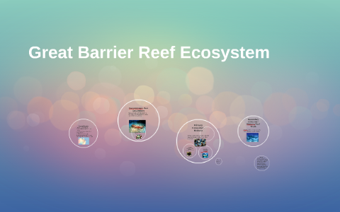 Great Barrier Reef Ecosystem by Emily Miller on Prezi